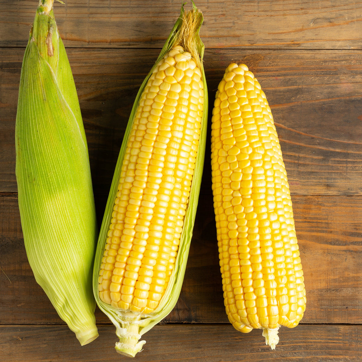 Choclo Americano (u) – Frutiferia SPA